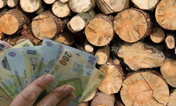 Plafonul pentru lemnele de foc va fi corectat - Vremea noua - Liderul ...