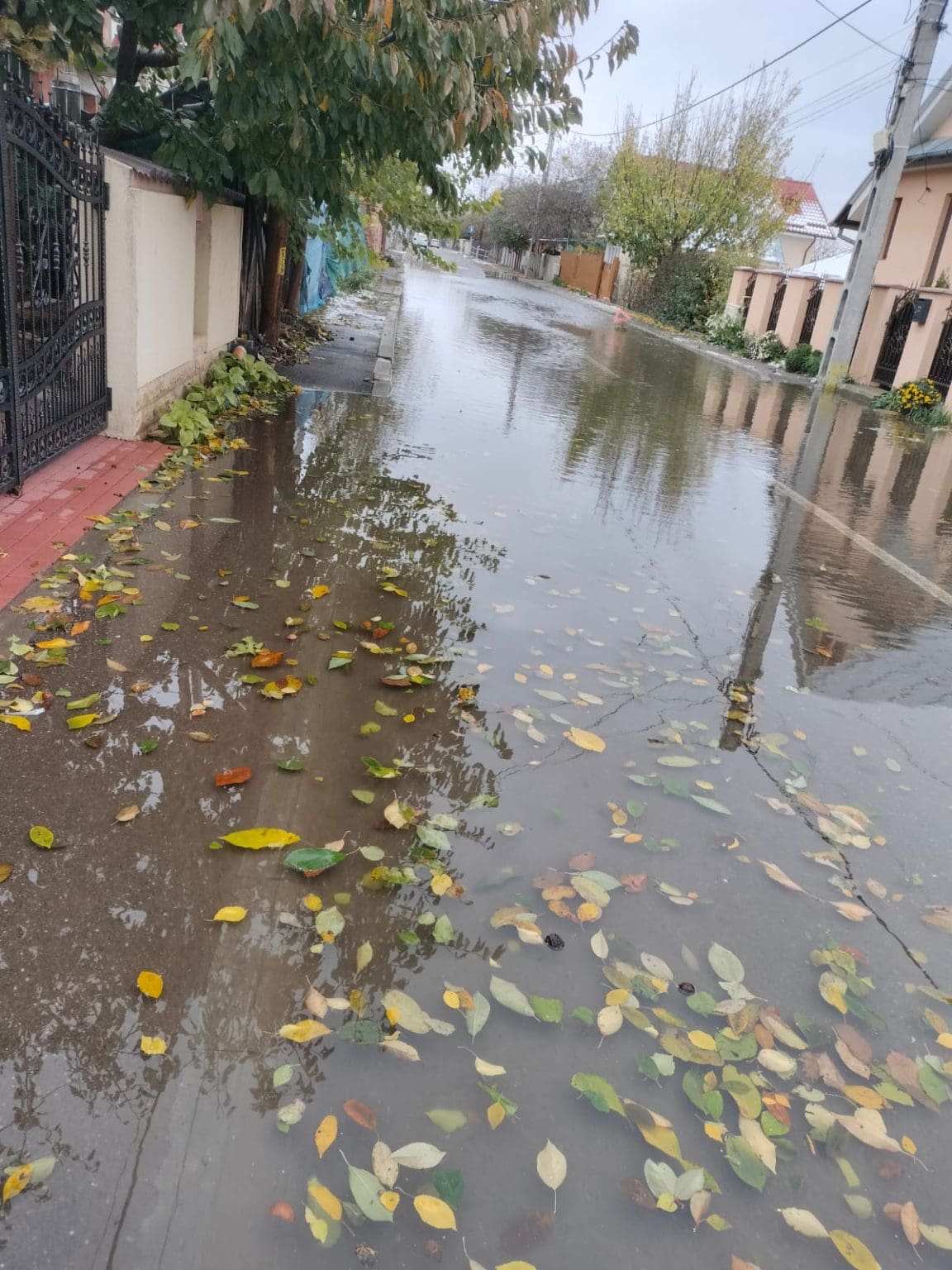 Paradoxal: bârlãdeni inundati în vârful dealului! (VIDEO) - Vremea noua ...