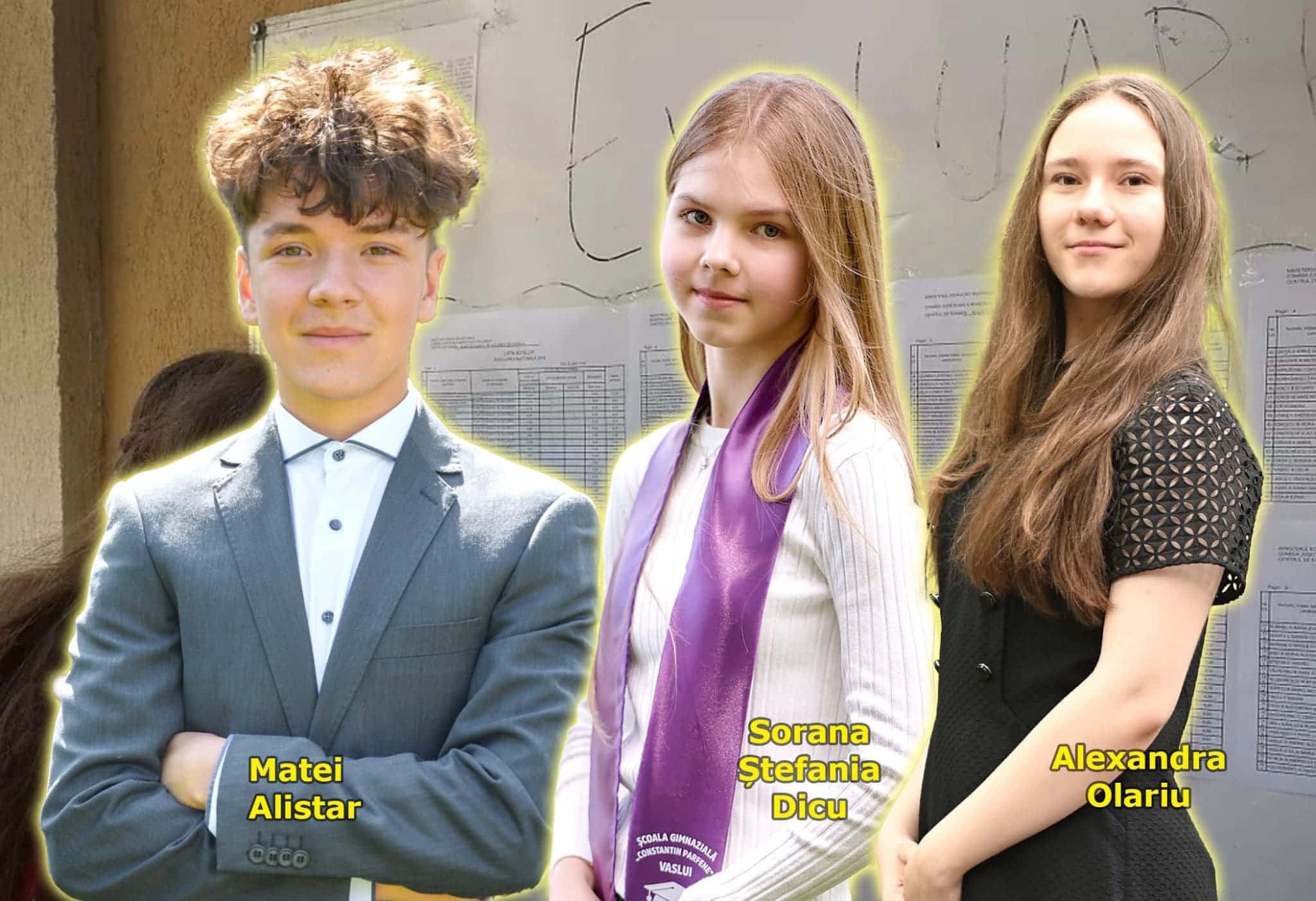 Cei mai buni din județ la Evaluarea Națională: Matei Alistar, singura ...